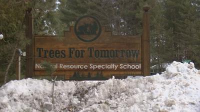 Trees For Tomorrow students learning about forest management | News ...
