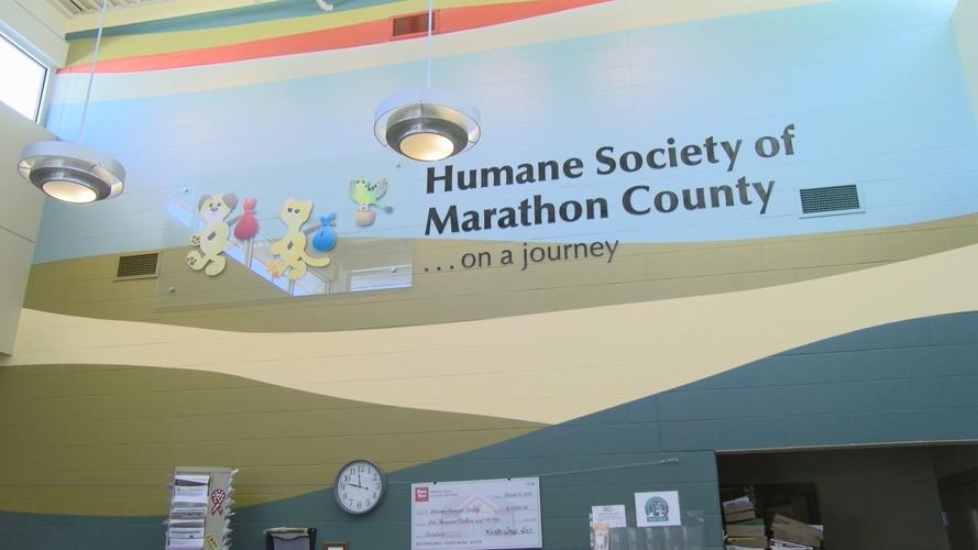 Marathon Co. Humane Society app to assist animal care | News | wjfw.com
