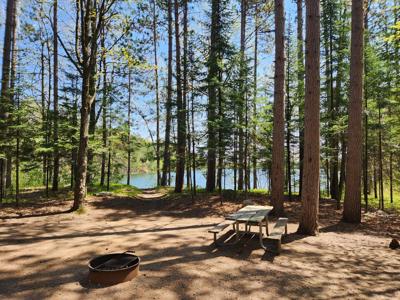 Chequamegon-Nicolet National Forest proposes increased fees at ...
