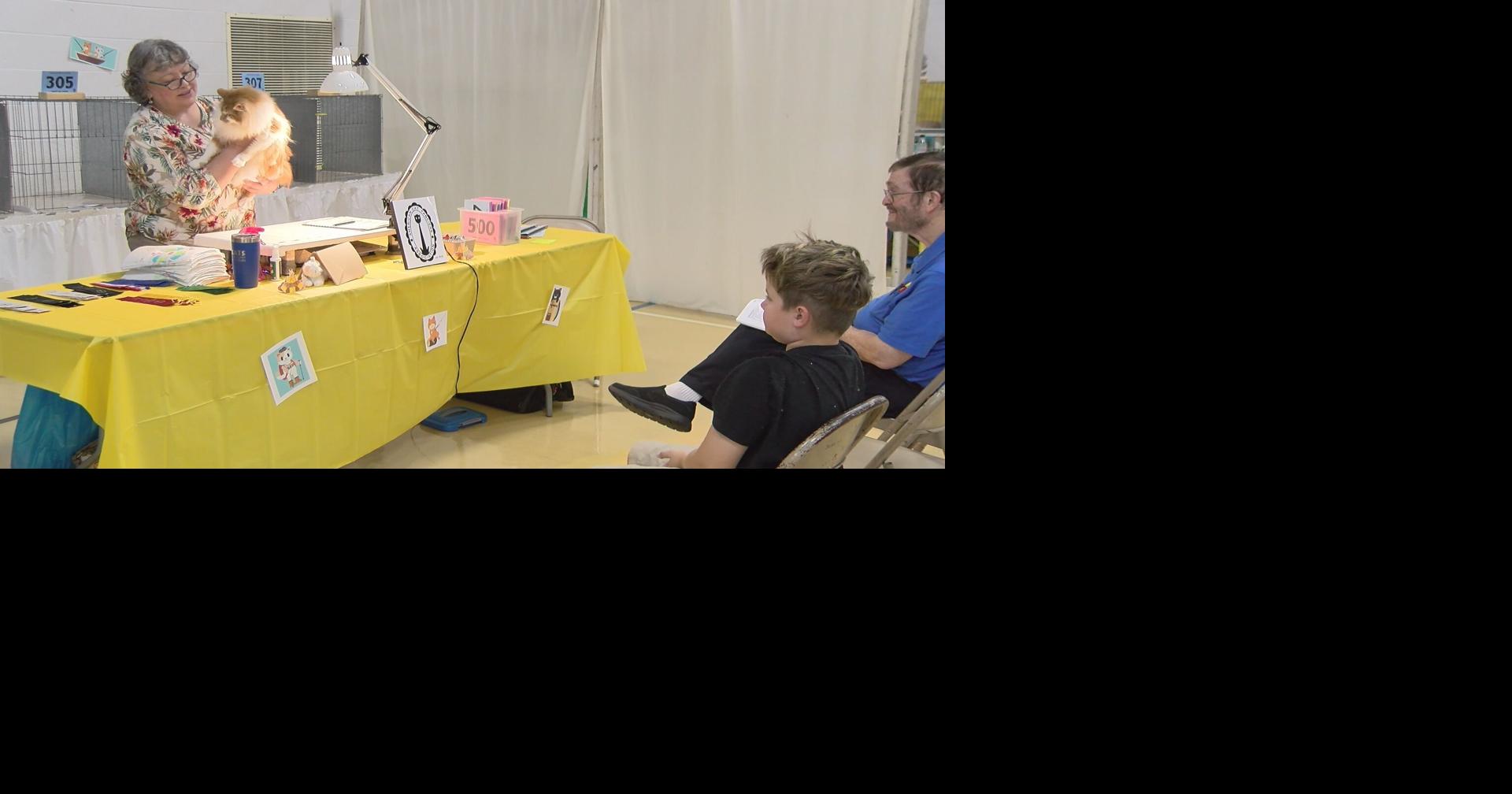 Cats strut their stuff at 32nd annual Central Wisconsin Cat Club Show ...