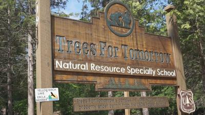 Trees for tomorrow immerses kids in nature for summer program | Local ...
