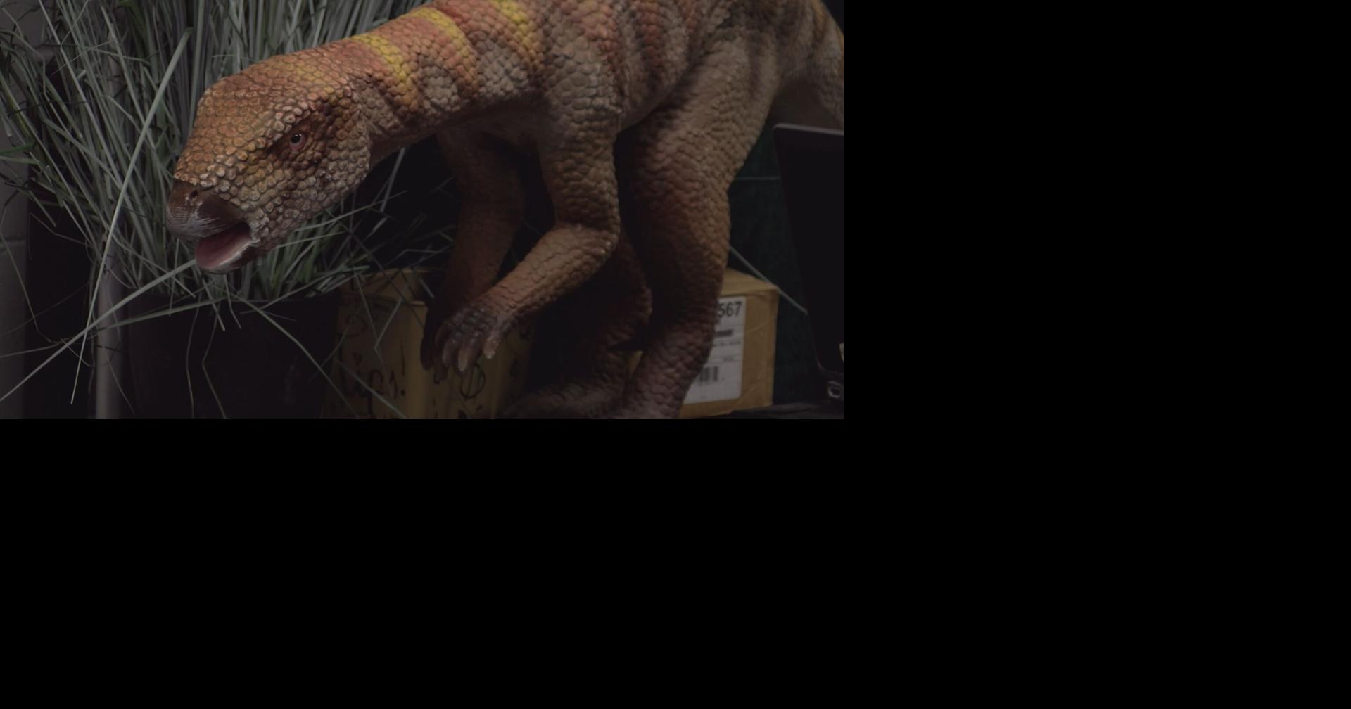 Marathon County Park holding Dinosaur Adventure this weekend | Local ...