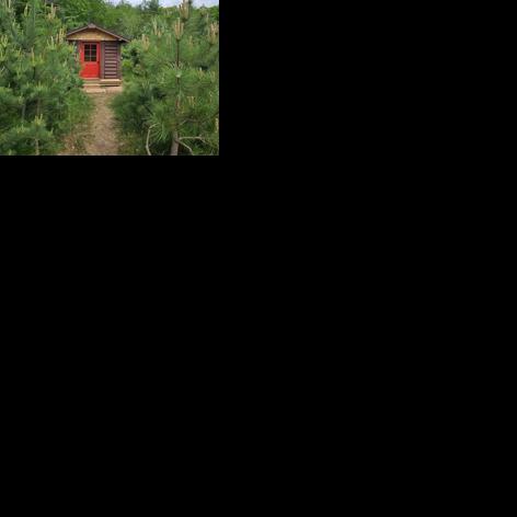 Northwoods Forest History Experience grand opening to take place June ...