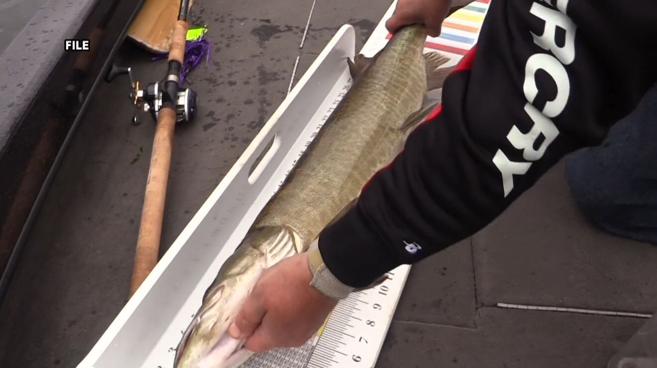 Controversy surrounds moving musky opener up in northern Wisconsin ...