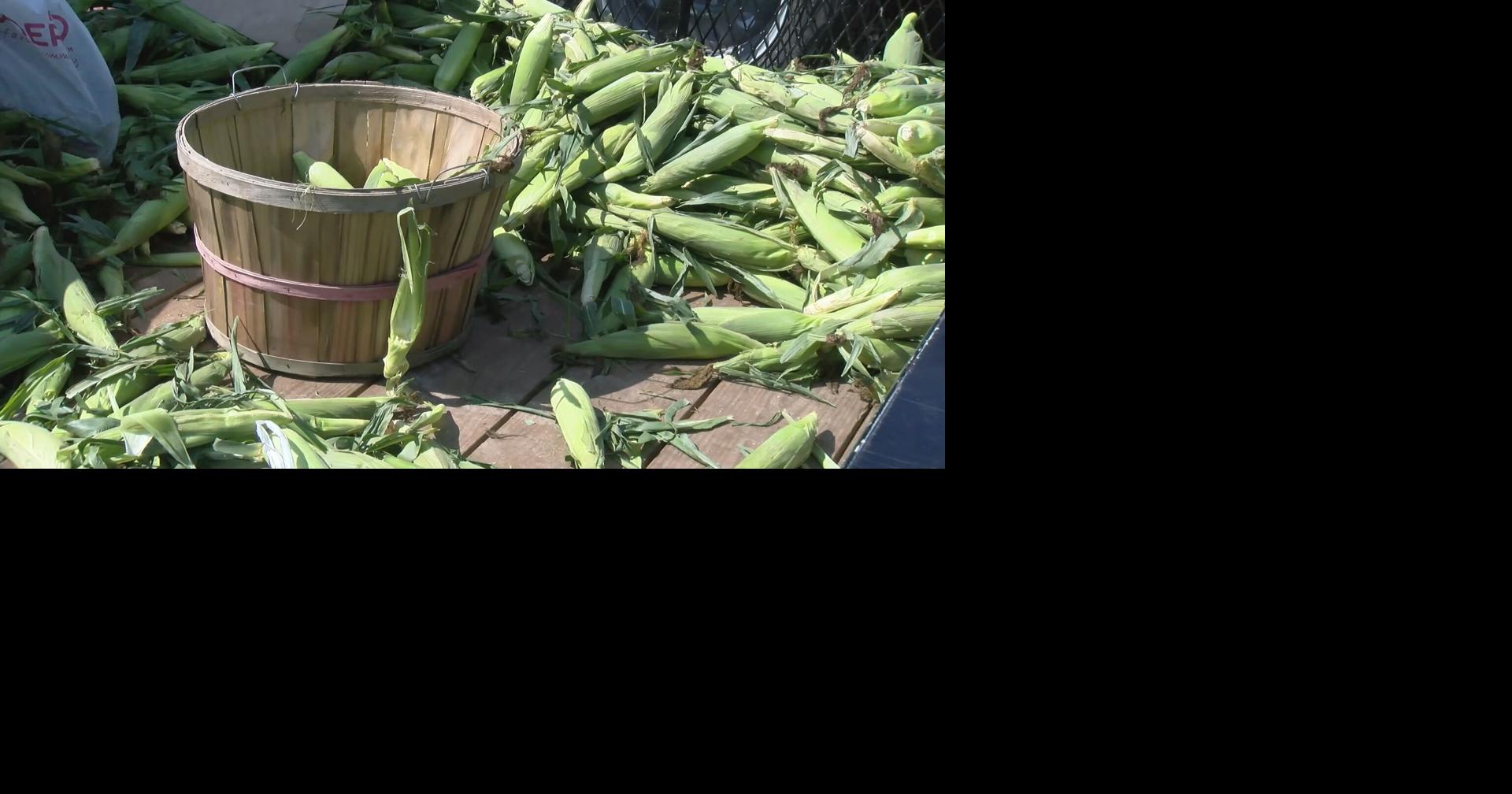 The Corn Lady has a "sweet" business | News | wjfw.com