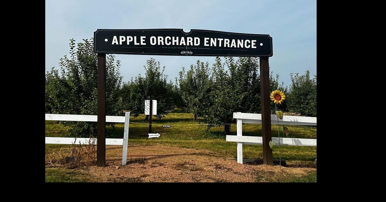 Helene's Hilltop Orchard kicks off fall apple harvest | News | wjfw.com