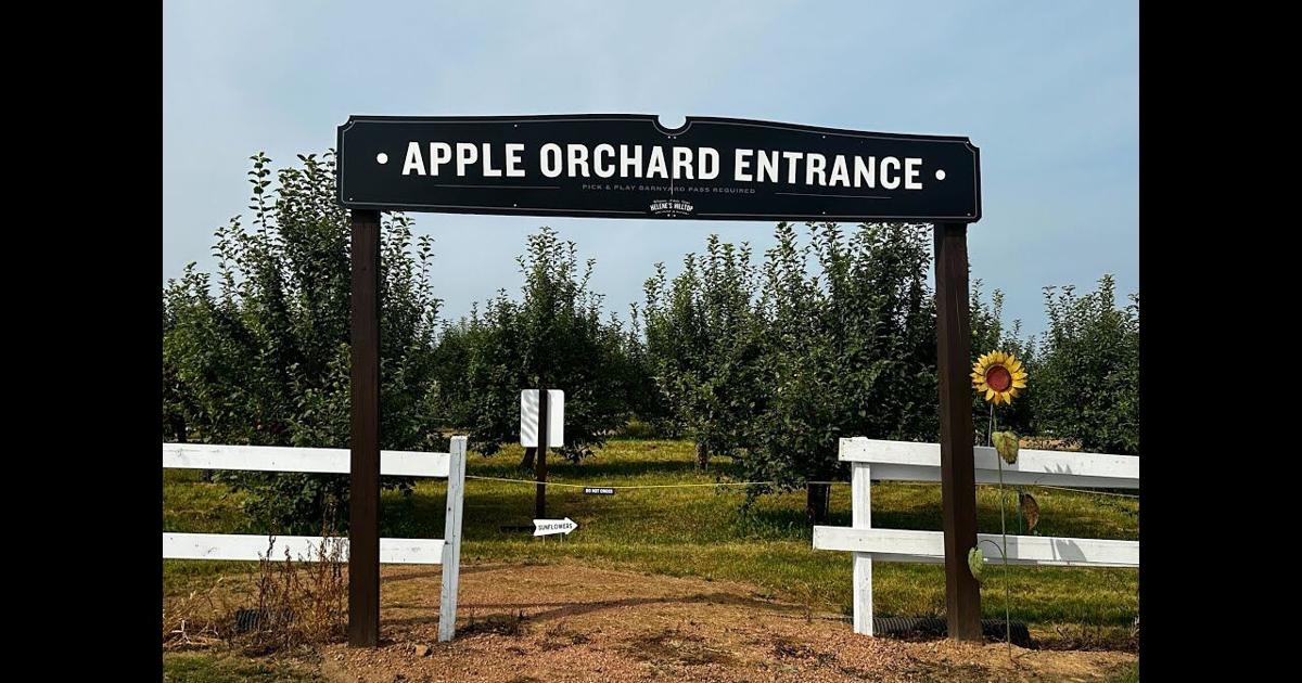 Helene's Hilltop Orchard kicks off fall apple harvest | News | wjfw.com Helene's Hilltop Orchard kicks off fall apple harvest | News | wjfw.com