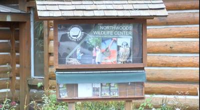 Northwoods Wildlife Center looking for help with supplies | News | wjfw.com