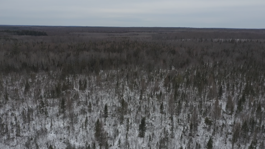 Proposed Pelican River Forest near Rhinelander in limbo | News | wjfw.com