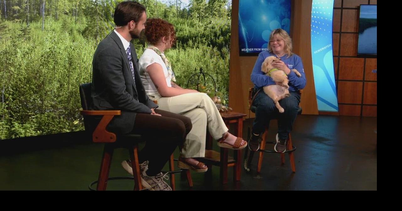 Chat with Carol | | wjfw.com