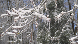 'Once-in-a-lifetime storm': Crandon man has close call during ice storm ...