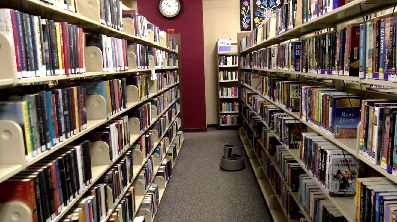 MEET THE AUTHORS: Rhinelander Library hosts author's fair to connect ...