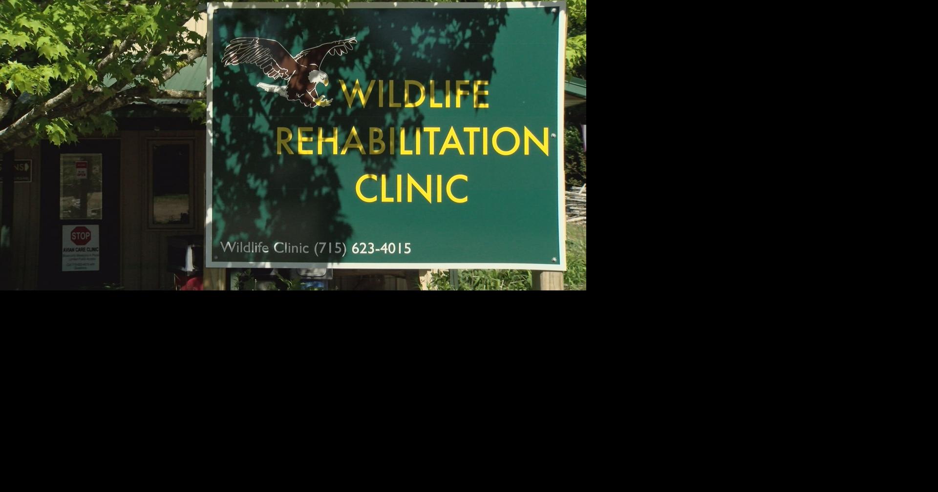 REGI helps rehabilitate and educate on native bird species in Wisconsin ...
