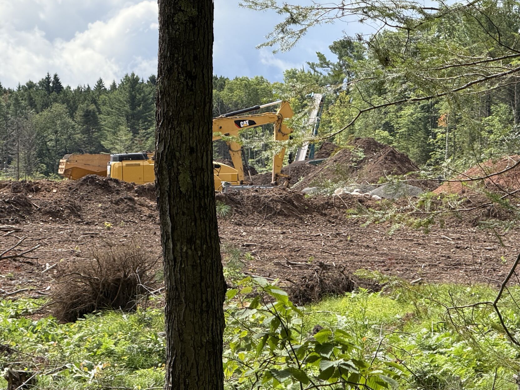 Arbor Vitae residents concerned zoning change could result in nearby ...