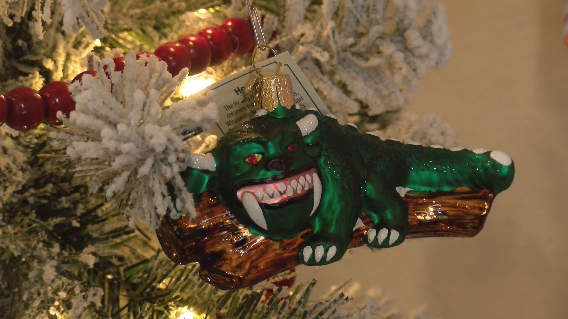 Rhinelander Area Chamber of Commerce introduces custom Hodag Christmas ...
