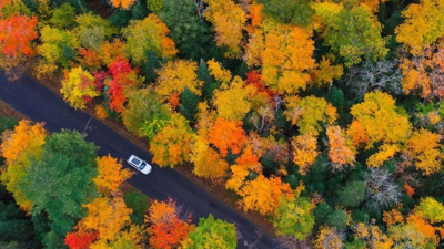 Fall Foliage 2023: Here's when and where to see fall colors in ...