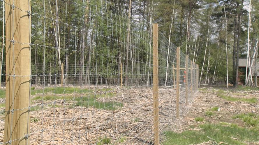 Trees for Tomorrow is using a new kind of protection for their new ...