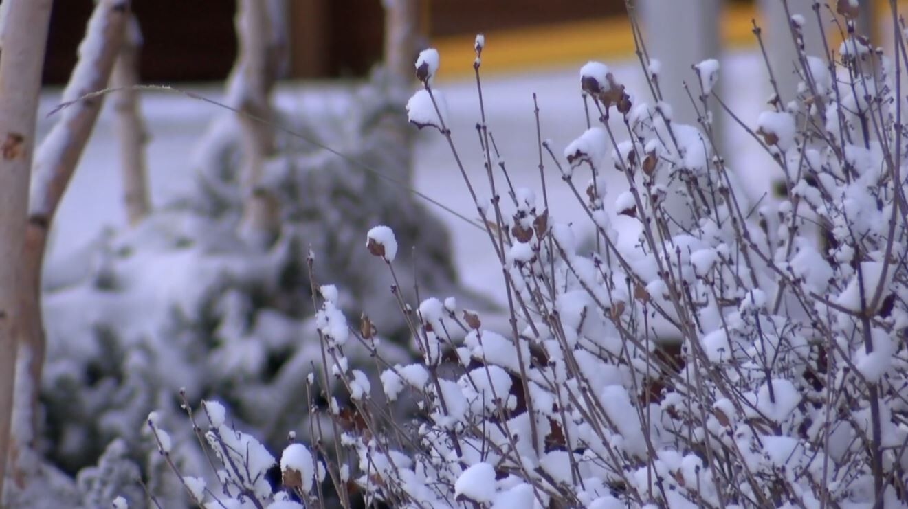 Lincoln County sees increase in deaths by suicide with 8 in October ...