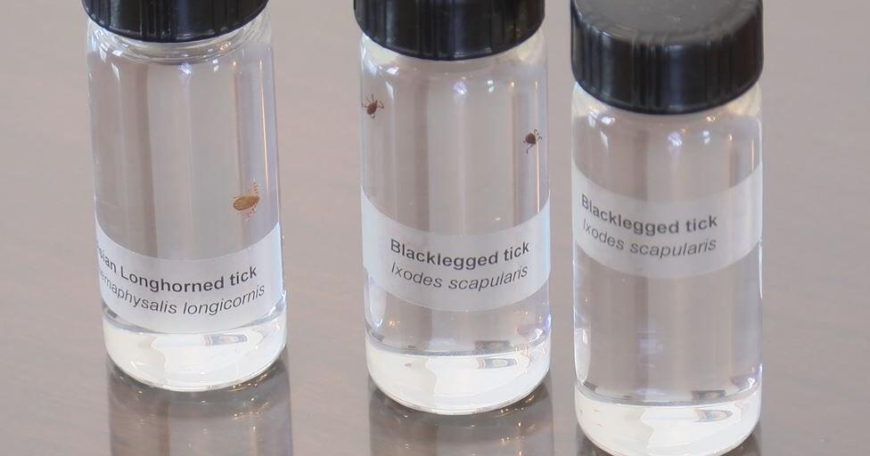 The Aspirus Tick-Borne Illness Center helps treat tick-related ...