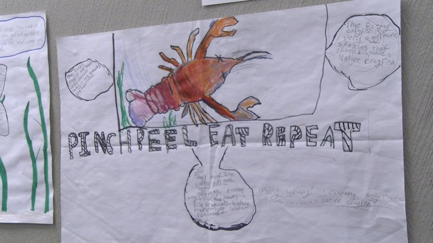 Submissions for the 15th annual Invasive Species Poster Contest ...
