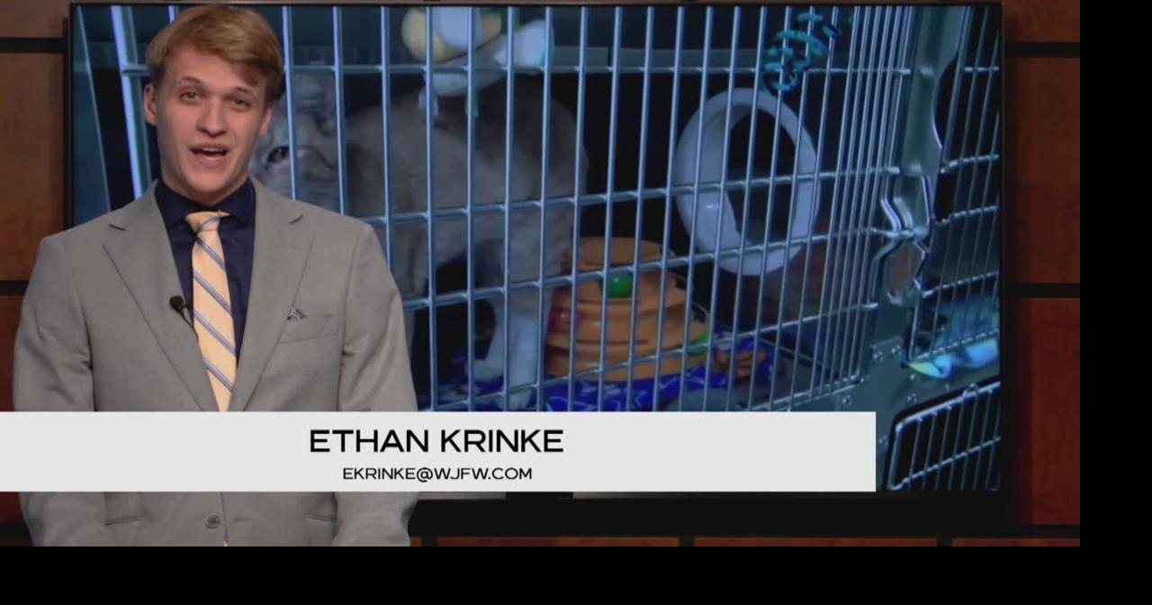 Menards in Rhinelander holds pet drive for Oneida County Humane Society ...