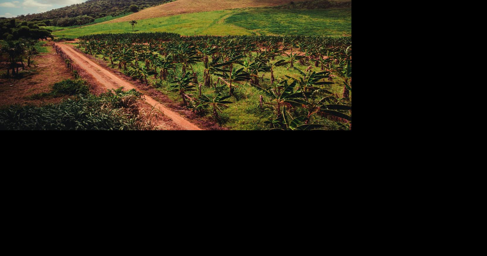 USDA invests $196M to boost agriculture industry in US and Puerto Rico ...