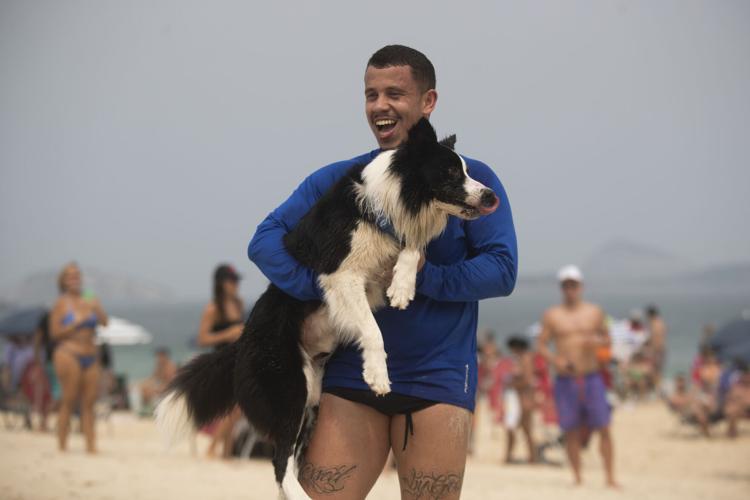 A dog being a footvolley star? Meet "Floki" | Pets | wjournalpr.com