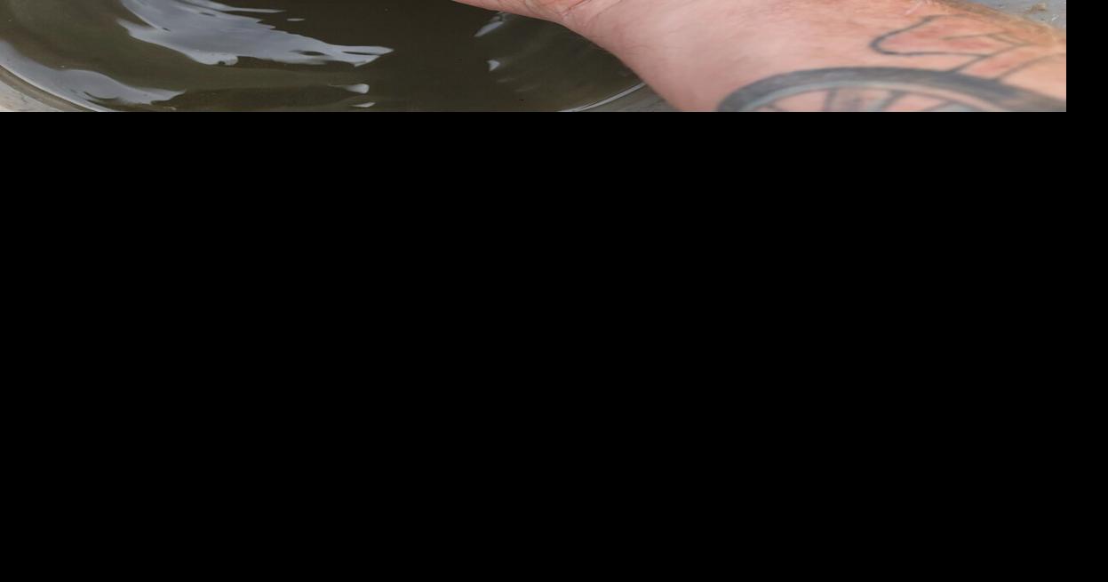 What appeared to be very old cannon balls discovered in Rock River ...