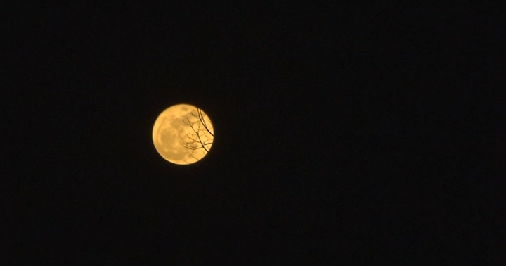 Watch the hunter's moon rise in the sky this weekend | Astronomy | wkow.com