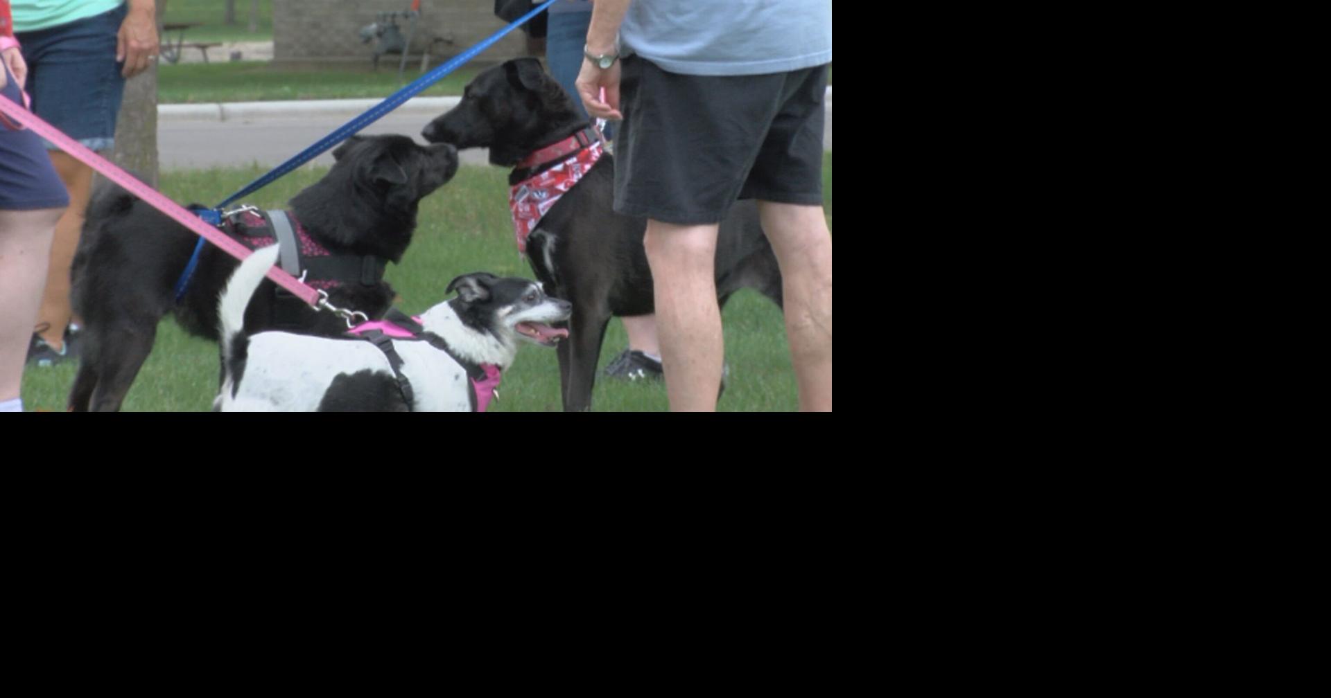 Humane Society of Southern Wisconsin supports homeless pets with ...
