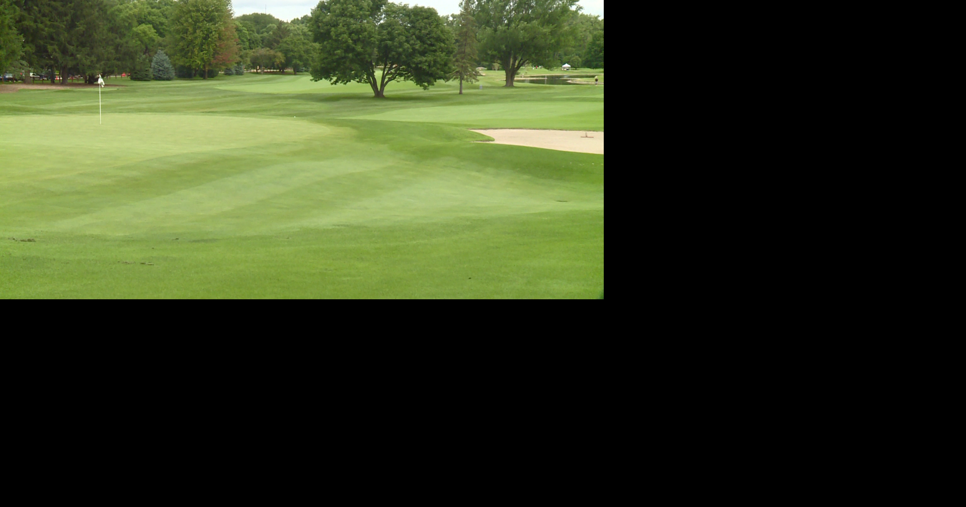 Madison police arrest man trying to steal golf cart, 3 others escape ...