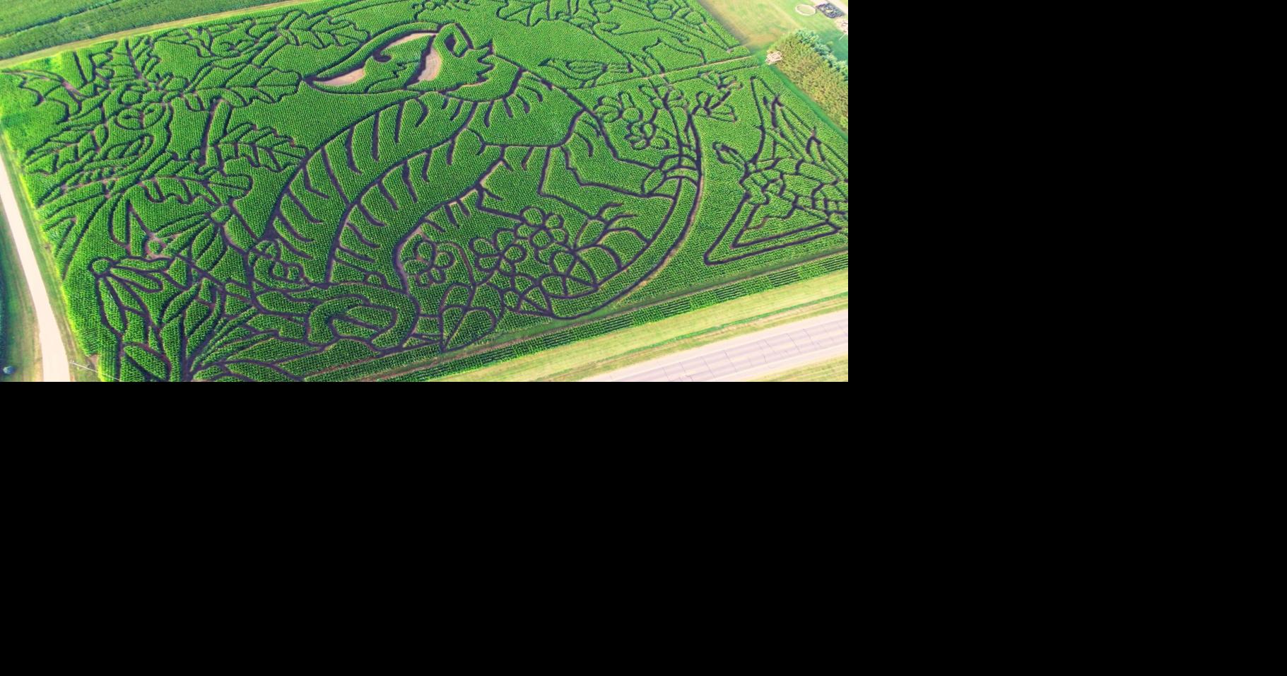 Get ready: Treinen Farms unveils 2025 corn maze theme | News | wkow.com