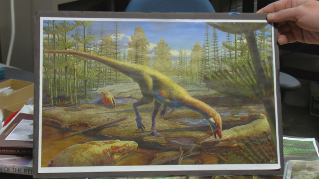 UW-Madison paleontologists discover oldest dinosaur in North America ...