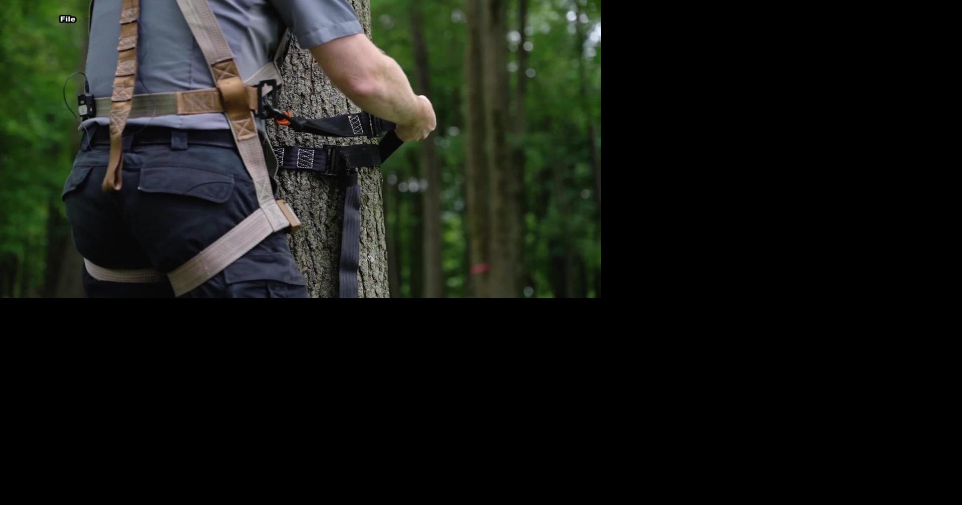 DNR reminds hunters to check tree stands | State news | wkow.com