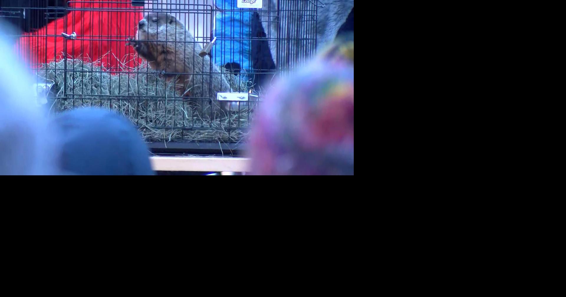 Sun Prairie’s Jimmy the Groundhog predicts 6 more weeks of wintery ...