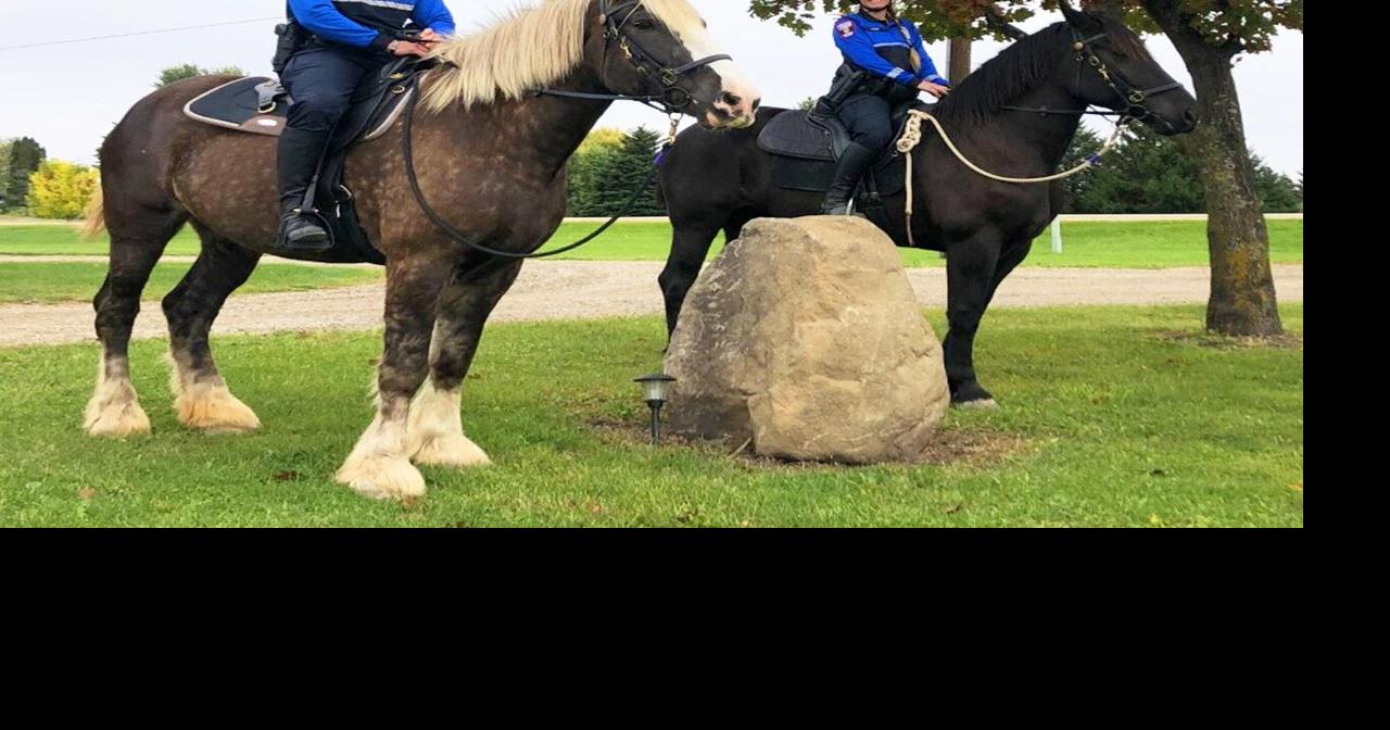 UW-Madison Police Department relaunching Mounted Unit | News | wkow.com