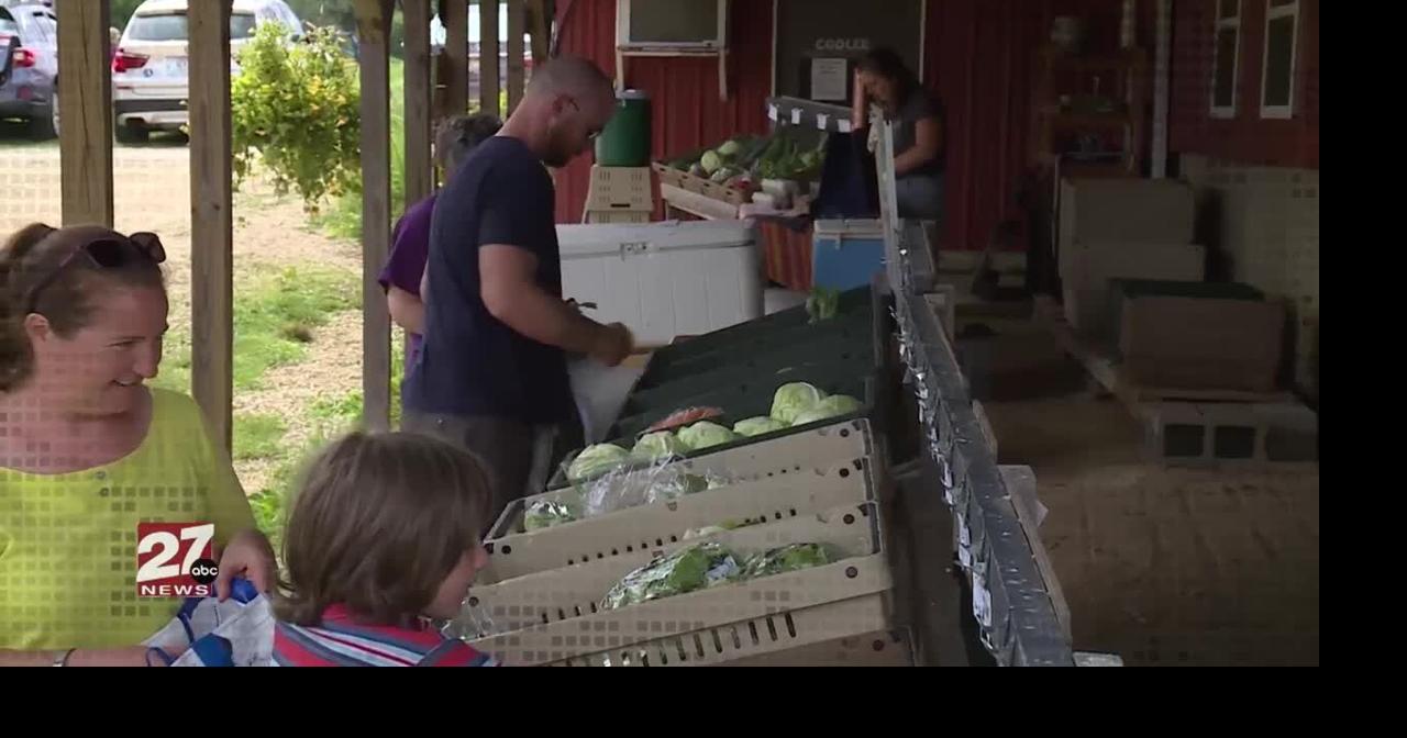 Farm to table: Community based agriculture a growing trend | News ...