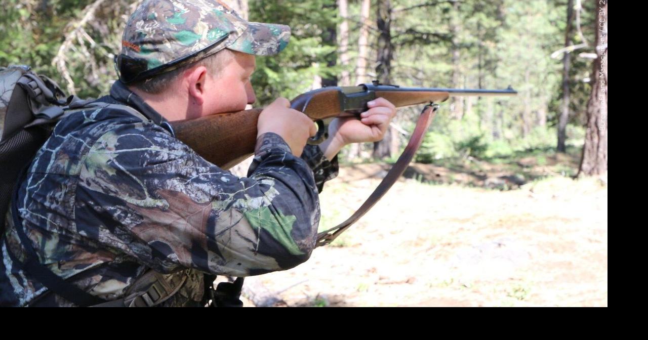 DNR: Registration open now for bonus antlerless deer harvest | News ...