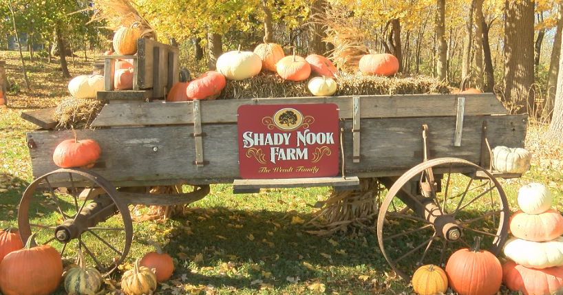 Shady Nook Farm reflects on 21 years of growing pumpkins and future ...