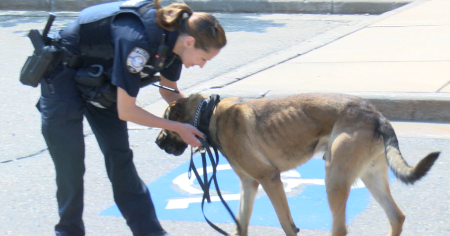 Police department announces first female K-9 officer | News | wkow.com