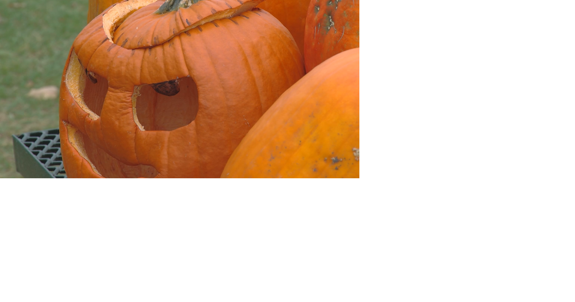 First annual 'pumpkin smashing' event looks to reduce waste | News ...