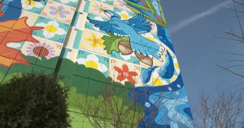 Madison's newest, largest mural unveiled | News | wkow.com