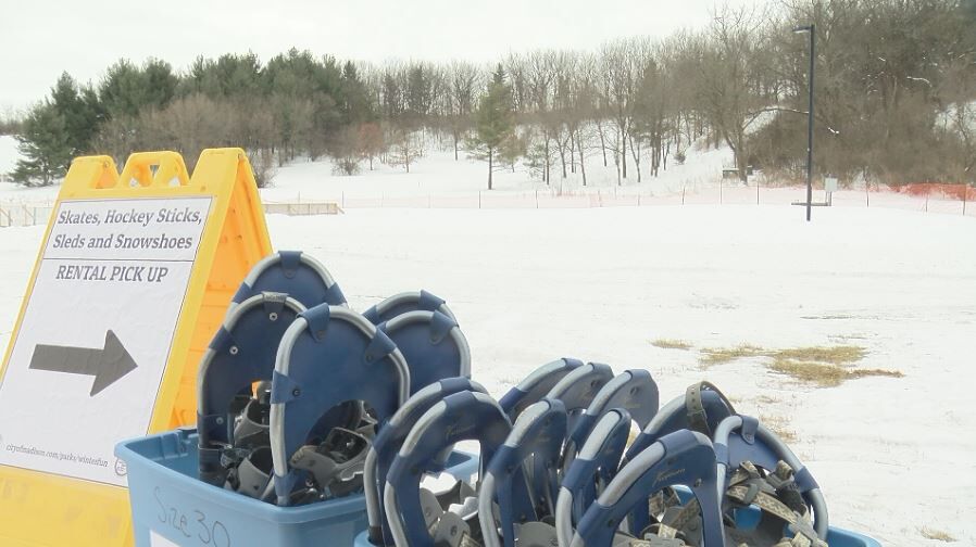 Are Dogs Allowed At Elver Park