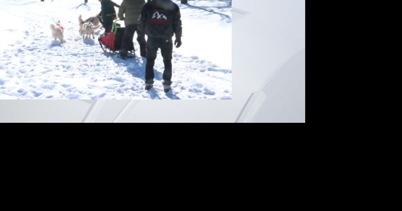 Winterfest hosts a dog sledding demonstration in Sun Prairie | News ...