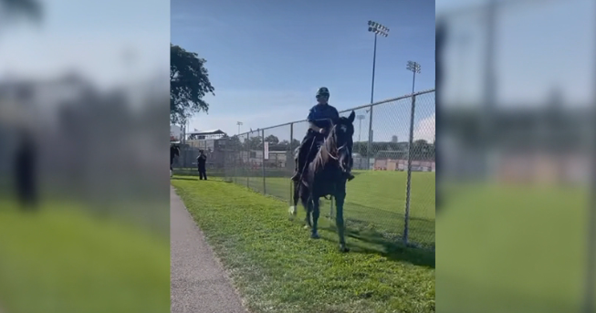 Madison's Mounted Horse Patrol returns to streets for riding season ...