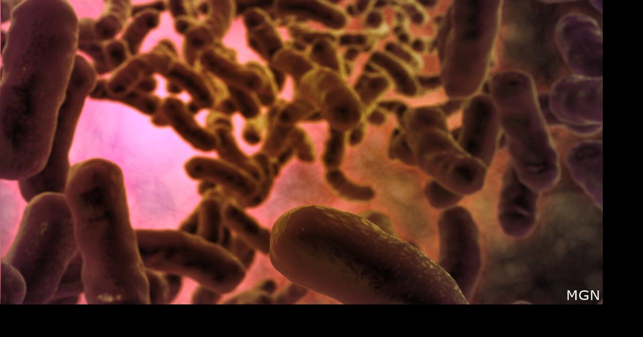 Salmonella outbreak hits Wisconsin, prompts SunFed cucumber recall ...