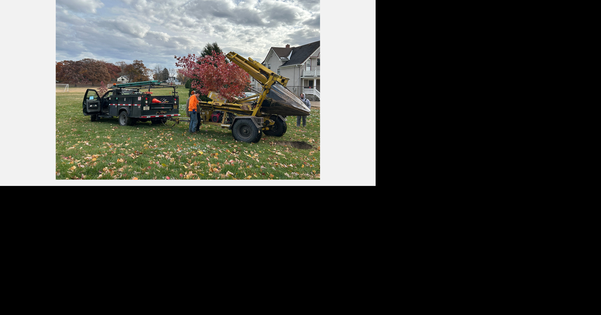 MMSD relocates trees to preserve natural assets at two project sites ...