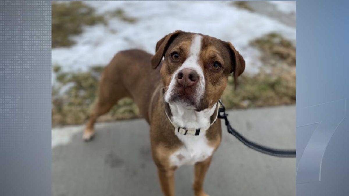 WKOW 27 News | Madison, WI News, Weather & Sports