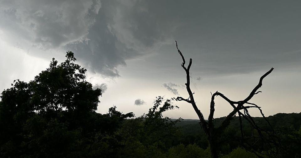 Severe storms topple trees, knock out power in southern Wisconsin | Top ...