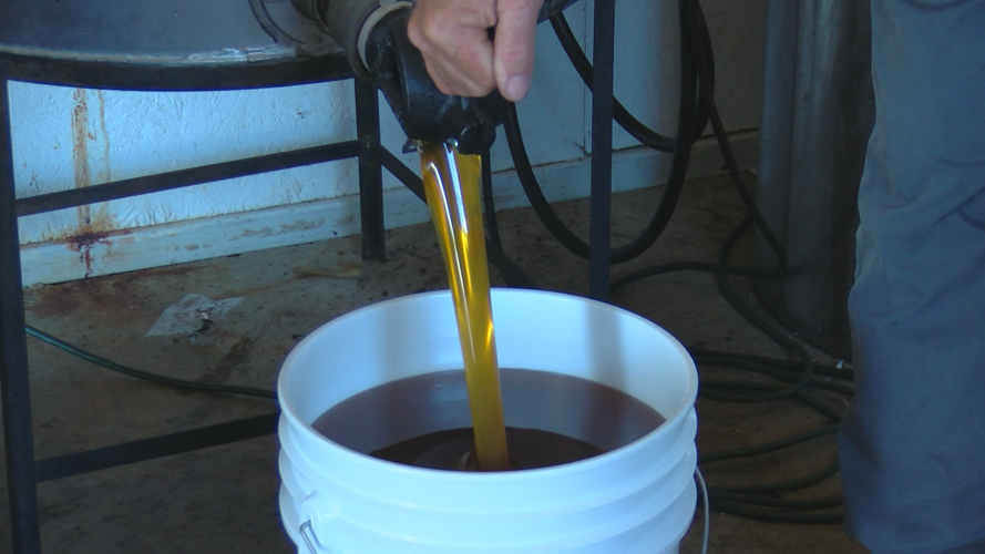 Deadly mite threatens hives as honey demand hits record highs | News ...